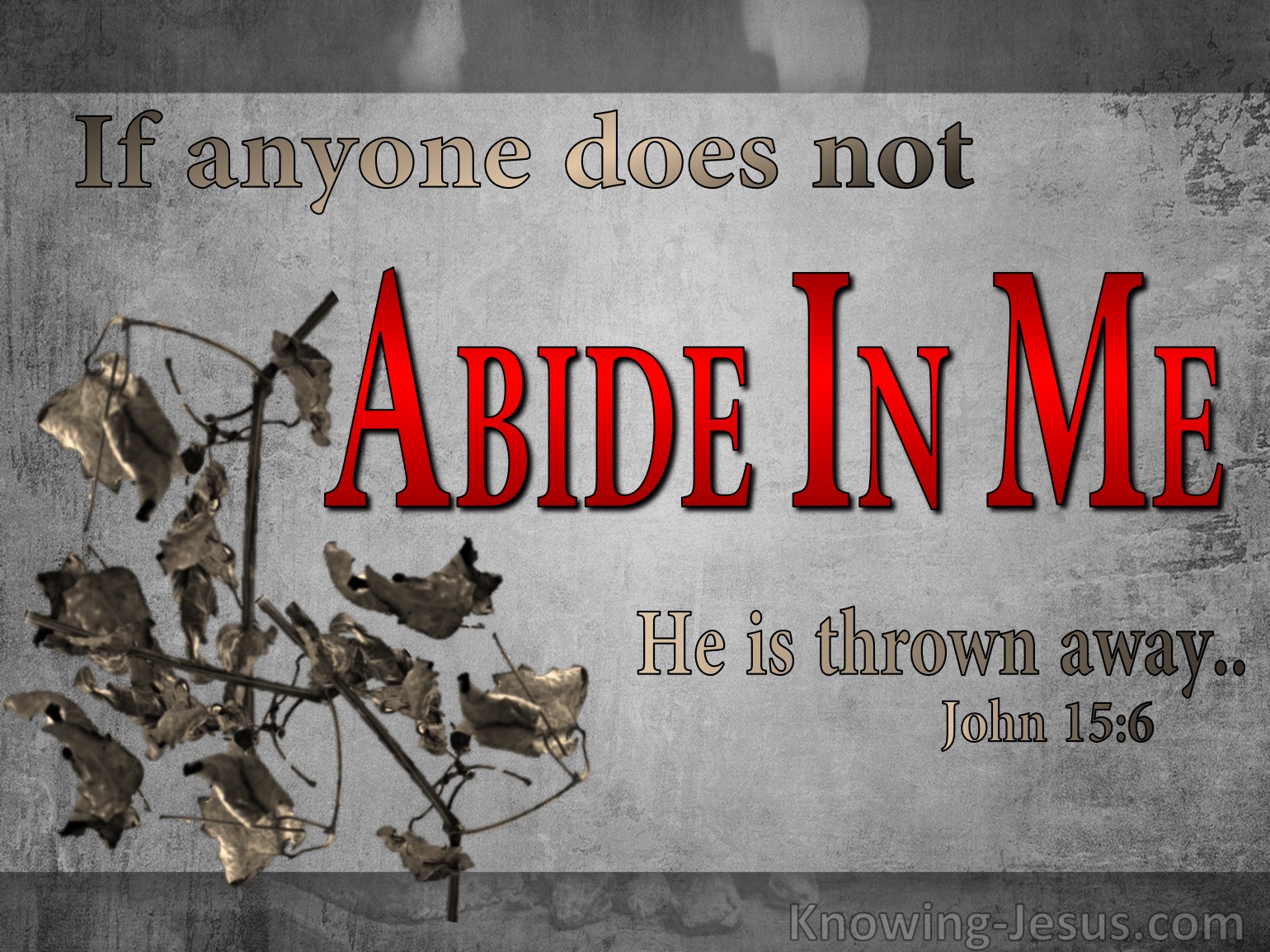 What Does John 15 6 Mean 